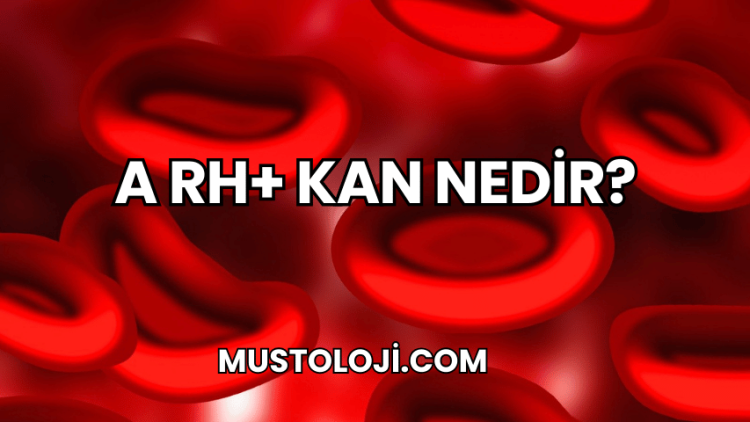 A Rh+ Kan Nedir? - Mustoloji