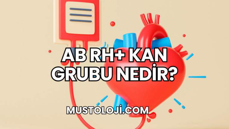 AB Rh+ Kan Grubu Nedir? - Mustoloji