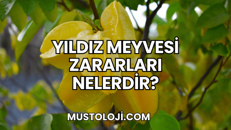 Yıldız Meyvesi Zararları Nelerdir? - Mustoloji